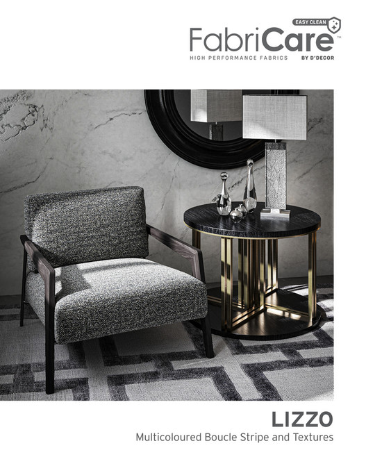 FabriCare - Lizzo - Page 1